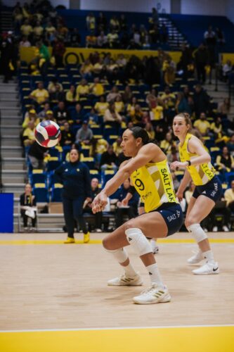 News, Sports, Jobs - Daily Herald